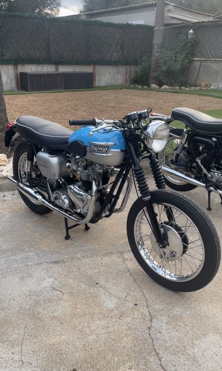 1961 Triumph Pre Unit T120R Bonneville - Ace Classics